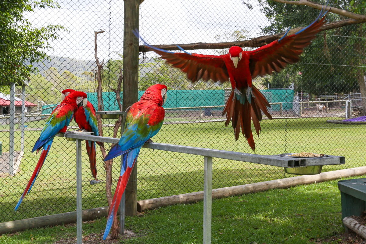 EcoPark Theme Park - Halfway Brisbane to Gold Coast